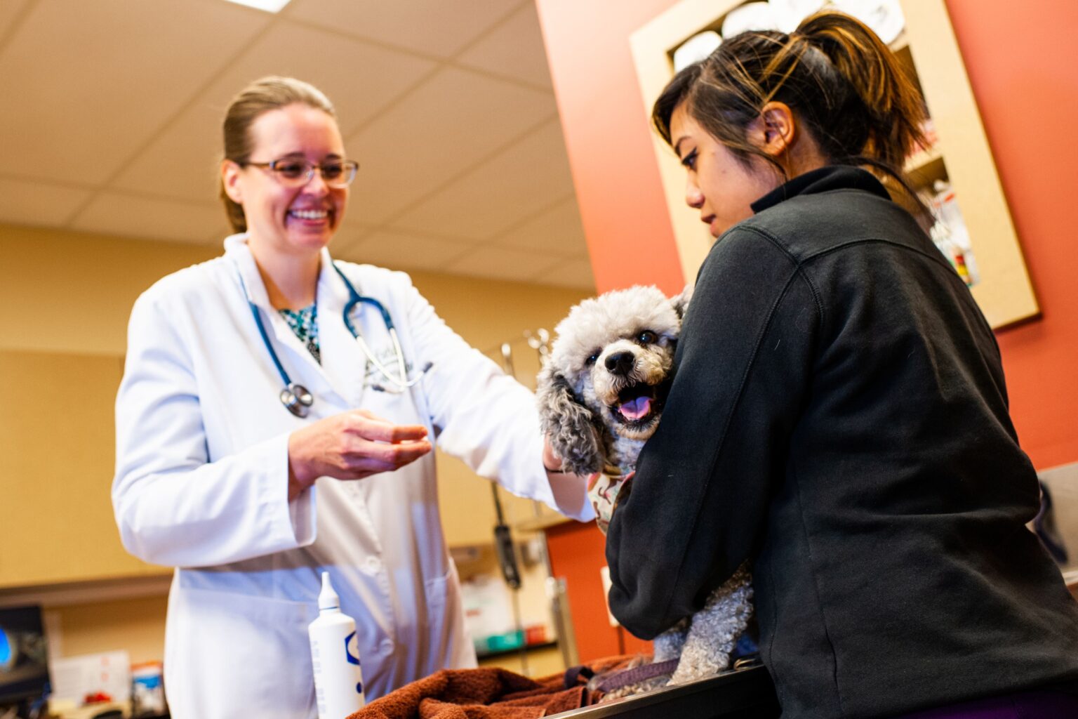 About - Community Veterinary Partners