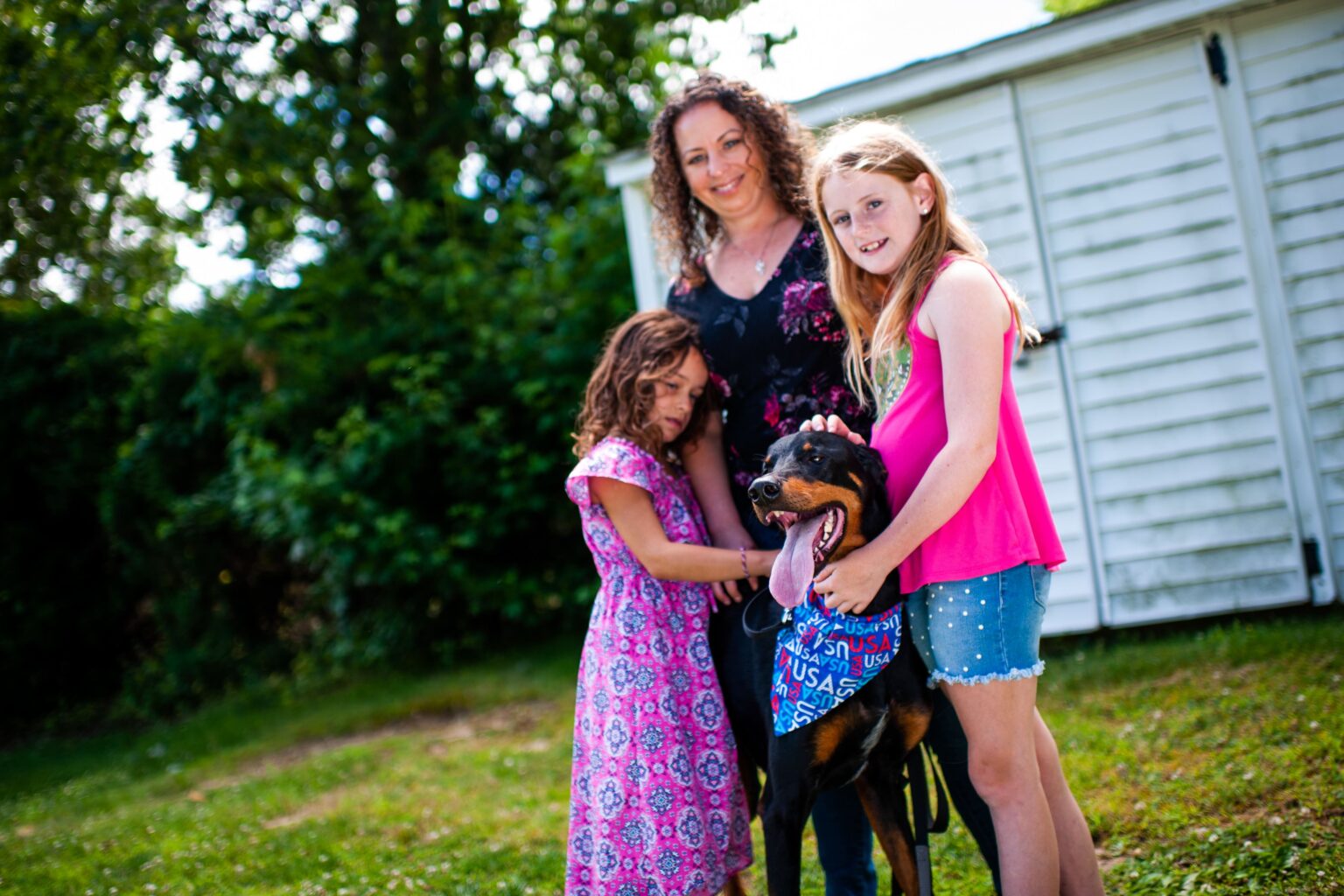 About - Community Veterinary Partners